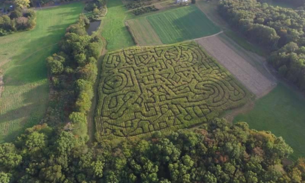 10 Amazing Corn Mazes in Connecticut | CTvisit